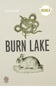 Carrie Fountain