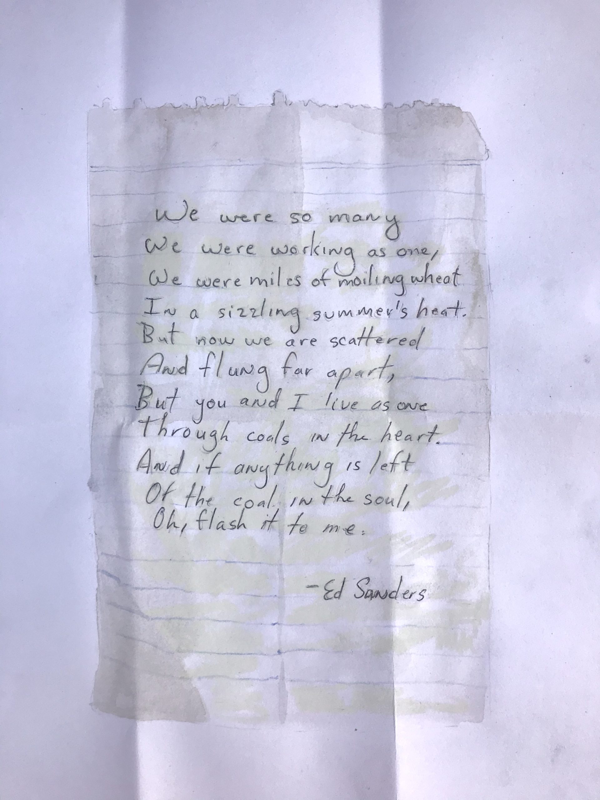 The Mail Gaze: Art and the Postal Service